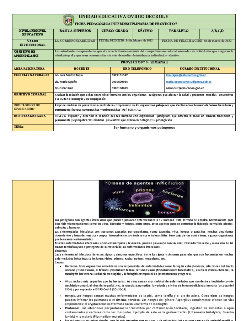 16_10MO_A_CCNN_PROYECTO 7 INTERDISCIPLINAR | PDF | Patógeno | Infección