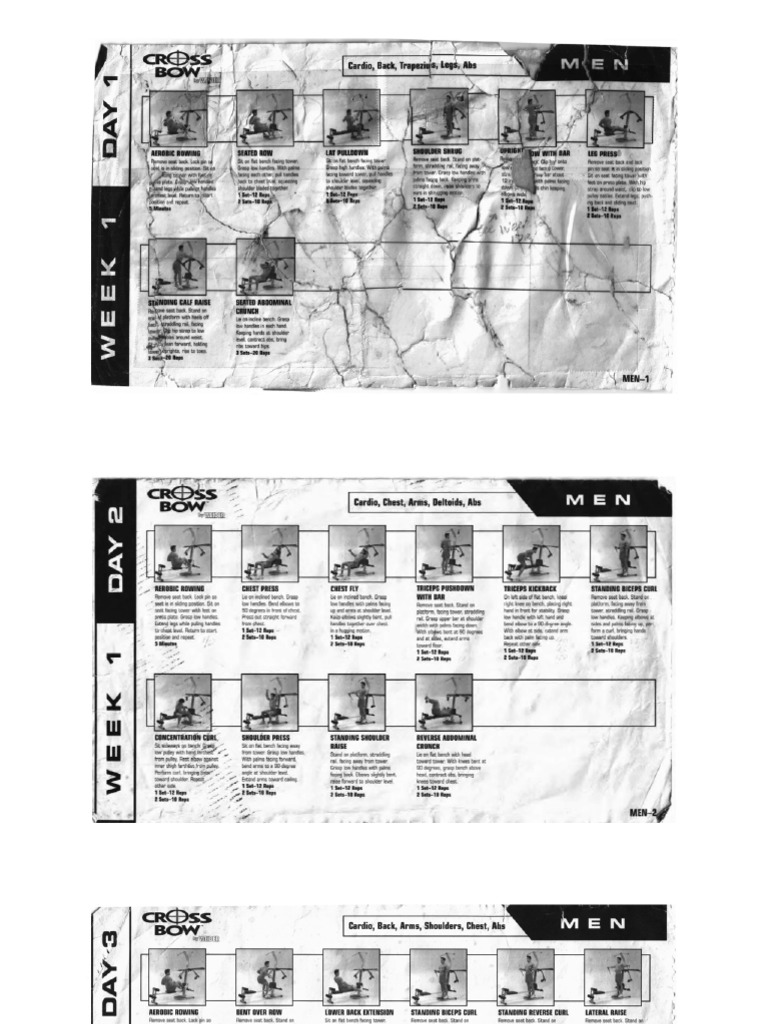 Weider CrossBow 6-Week Mens Workout (19pp) | PDF | Sports & Recreation ...