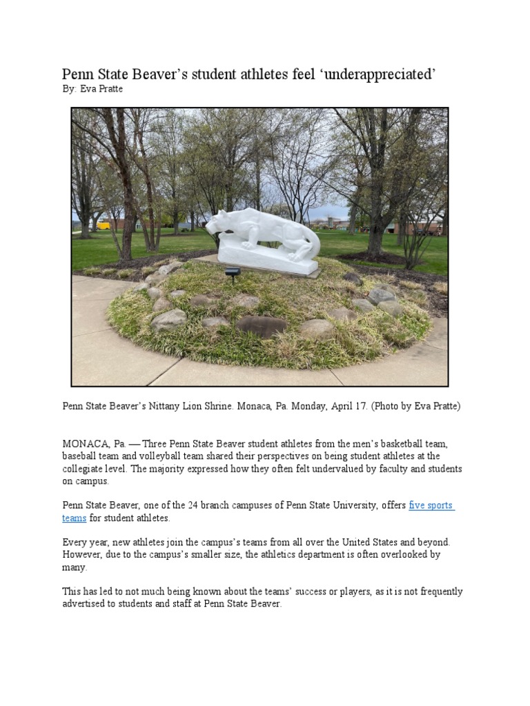 Sports News Report | PDF