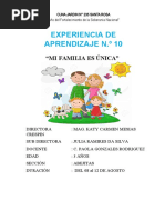 PROYECTO Mi Familia Es Maravillosa | PDF | Aprendizaje | Ciencia cognitiva
