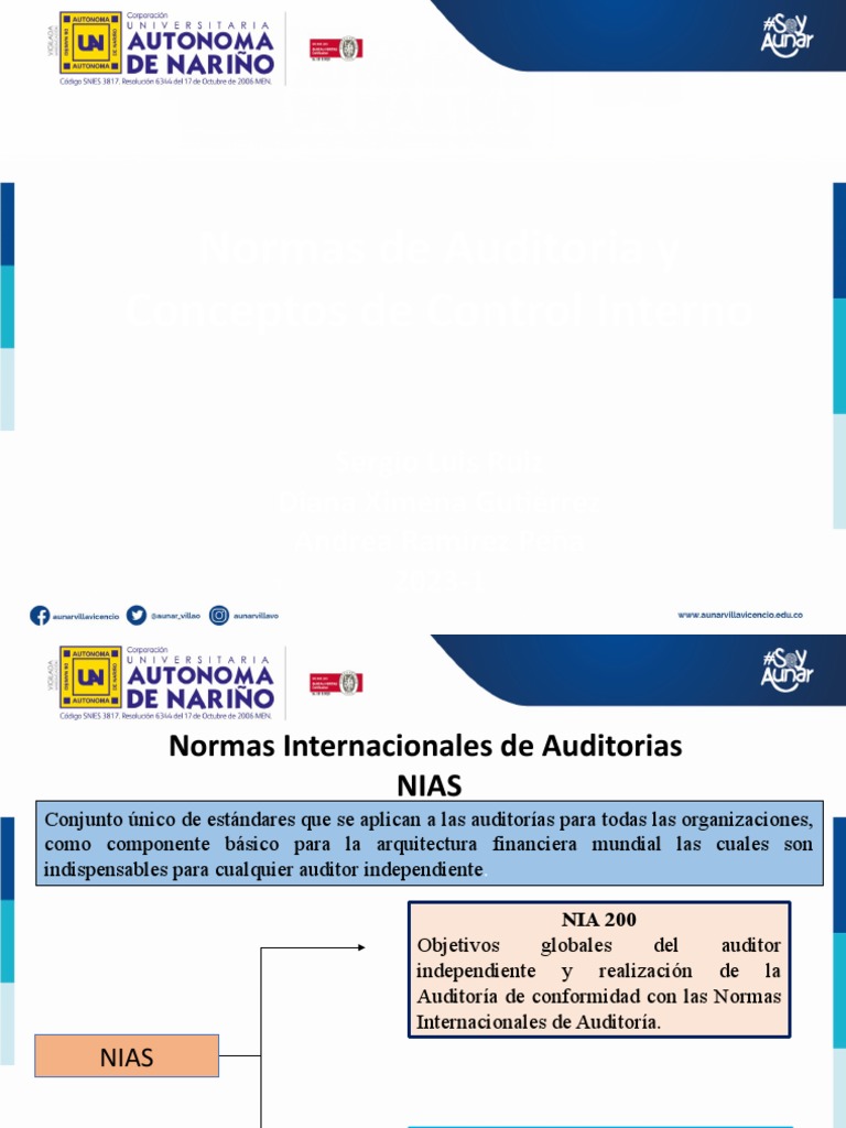 Normas Internacionales de Auditoría NIAS | PDF | Auditoría | Contralor