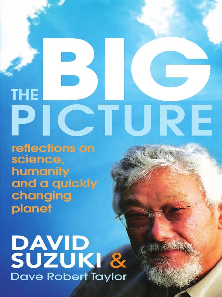 The Big Picture Reflections On Science, Humanity, and A Quickly ...