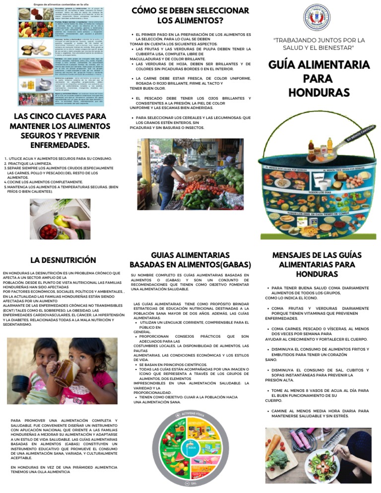 Trifolio Guia Alimentaria Honduras | PDF | Alimentos | Nutrición
