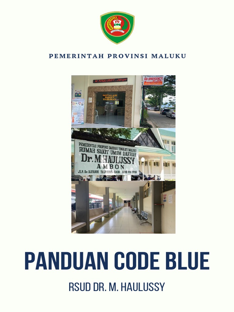 Panduan Code Blue Haulussy Fix PDF | PDF