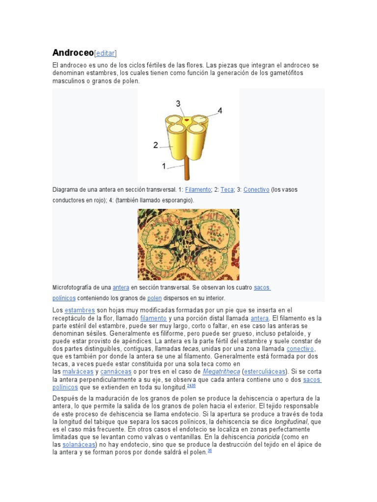 Perianto y Perigonio | PDF | Flores | Polinización