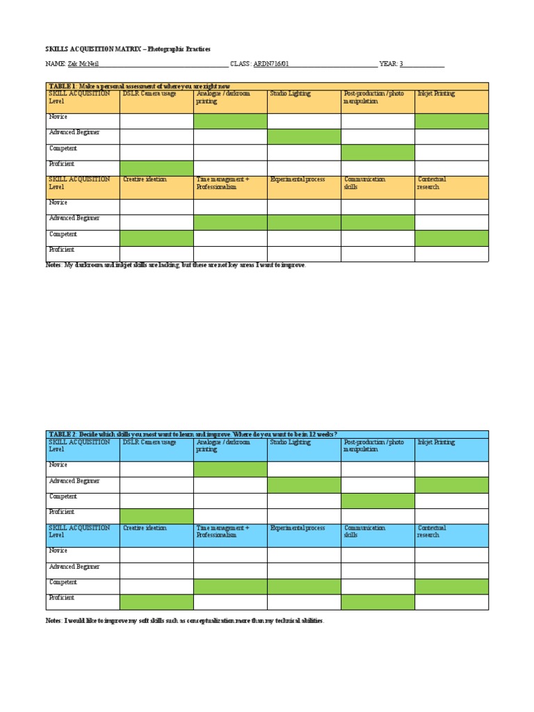 Skills Acquisition Matrix for Photography | PDF