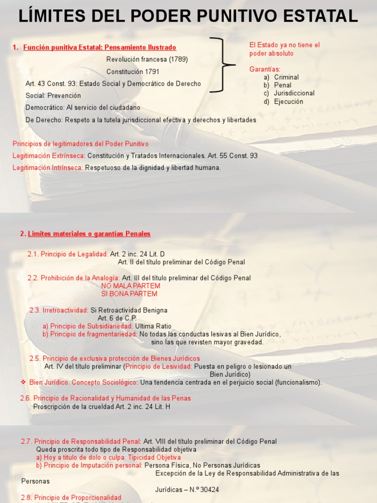 Límites Del Poder Punitivo Estatal | PDF | Derecho penal | Debido al ...
