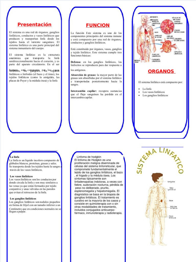 Dokumen - Tips - Sistema Linf Triptico | PDF | Sistema linfático ...