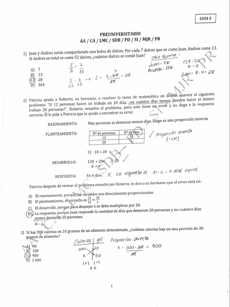 Pauta Guía 5 2023 | PDF