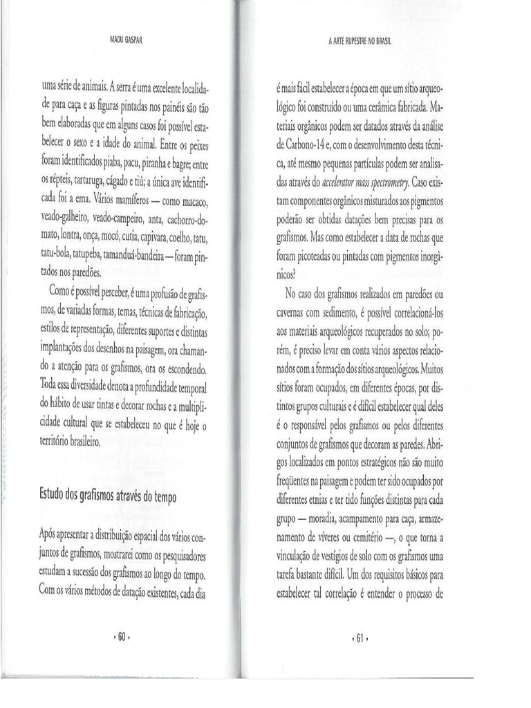 4-2c-gaspar-m-a-arte-rupestre-no-brasil-parte-3 | PDF