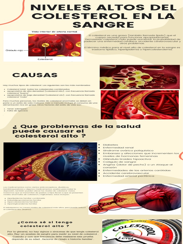 Infografía. El Colterol Alto en La Sangre | PDF | Hipercolesterolemia ...
