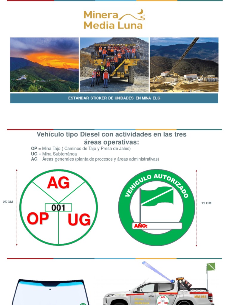 Estandar de Vehiculos ELG PDF | PDF | Color | Neumático