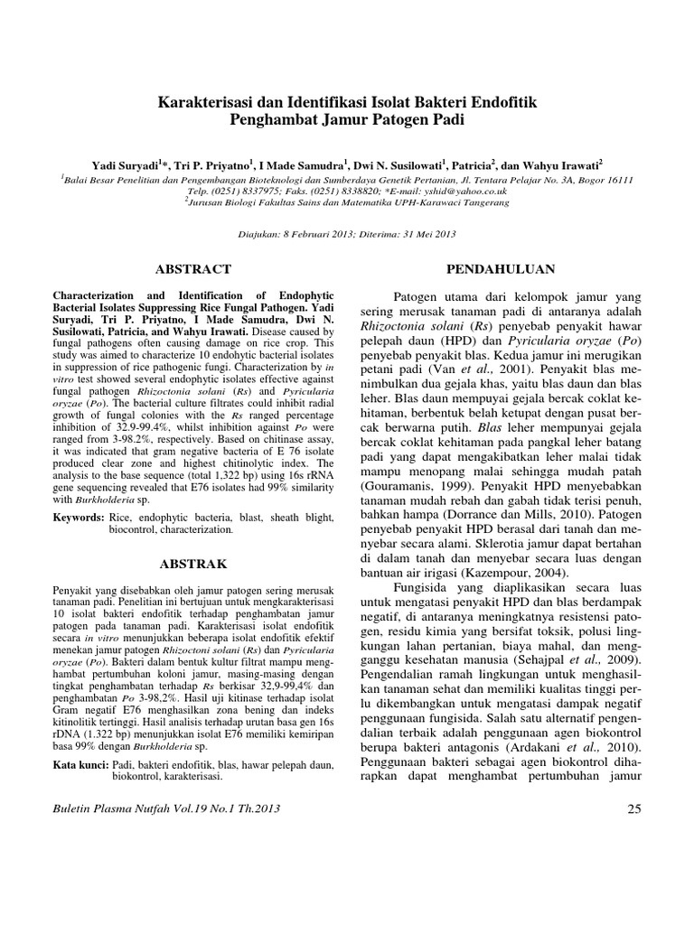 Karakterisasi - Dan - Identifikasi - Isolat - Bakteri Dan Jamur | PDF