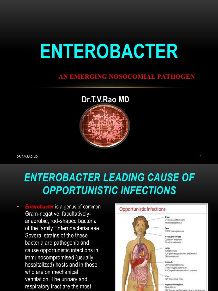 Enterobacter An Emerging Nosocomial Infection | PDF