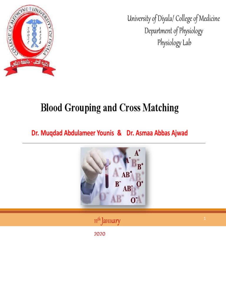 Blood Grouping and Cross Matching Overview | PDF | Blood Type | Anatomy