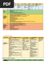 Modelo Pauta Trabajo Comun | PDF | Evaluación | Aprendizaje