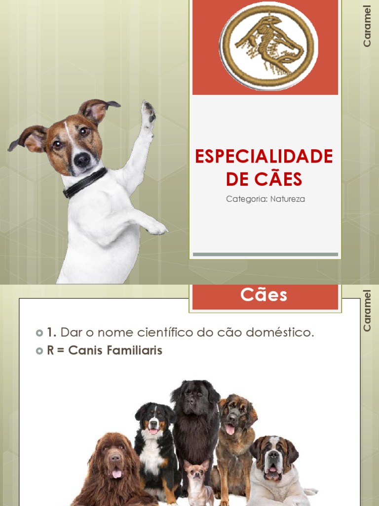 Especialidade de Cães-1 | PDF