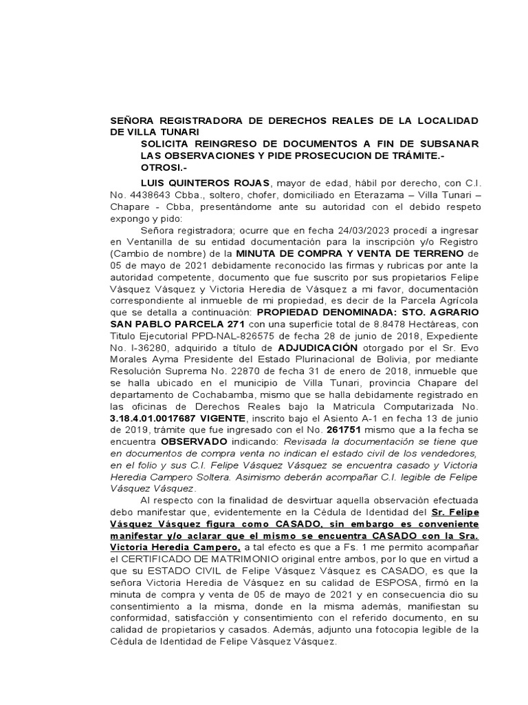 Luis Quinteros Rojas - Subsana Observacion | PDF