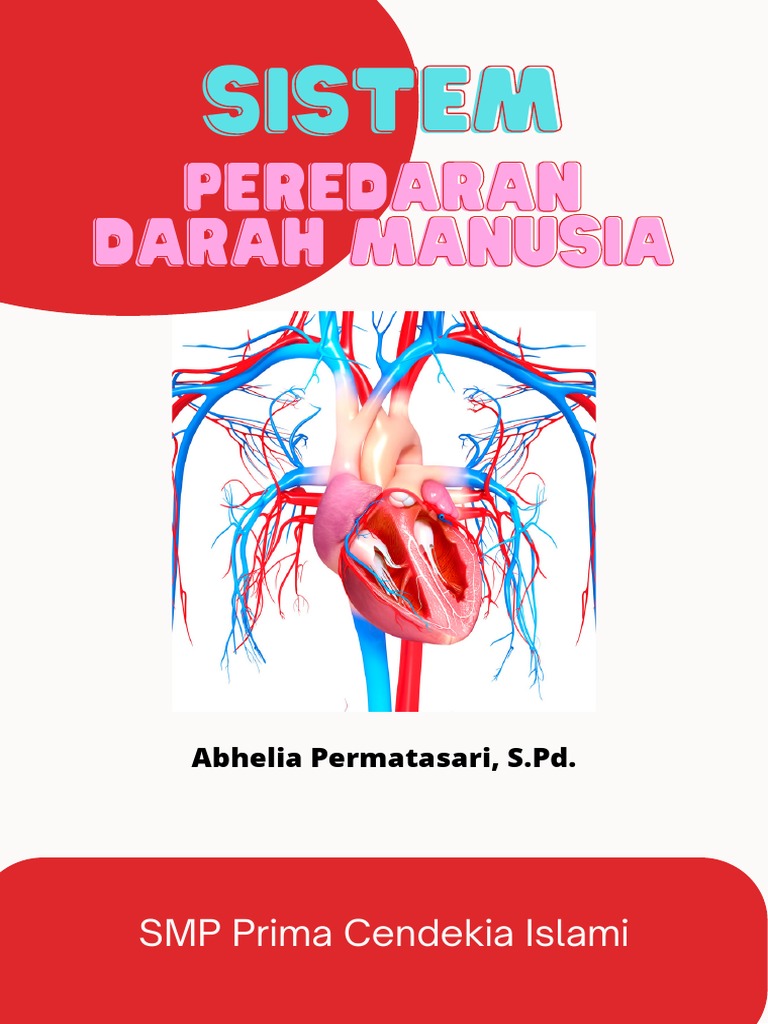 Sistem Peredaran Darah G8 PDF | PDF
