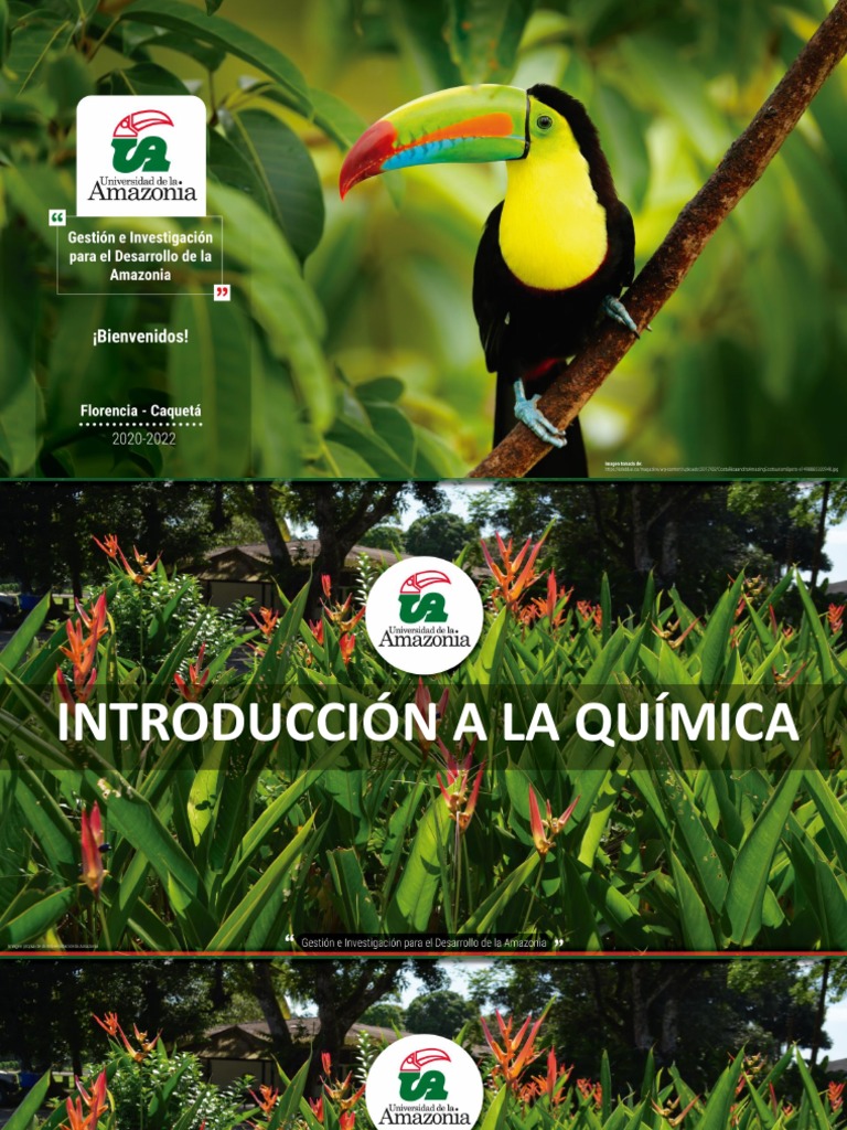 INTRODUCCION A LA QUIMICA MODULO 1 - Final PDF | PDF | Polaridad ...