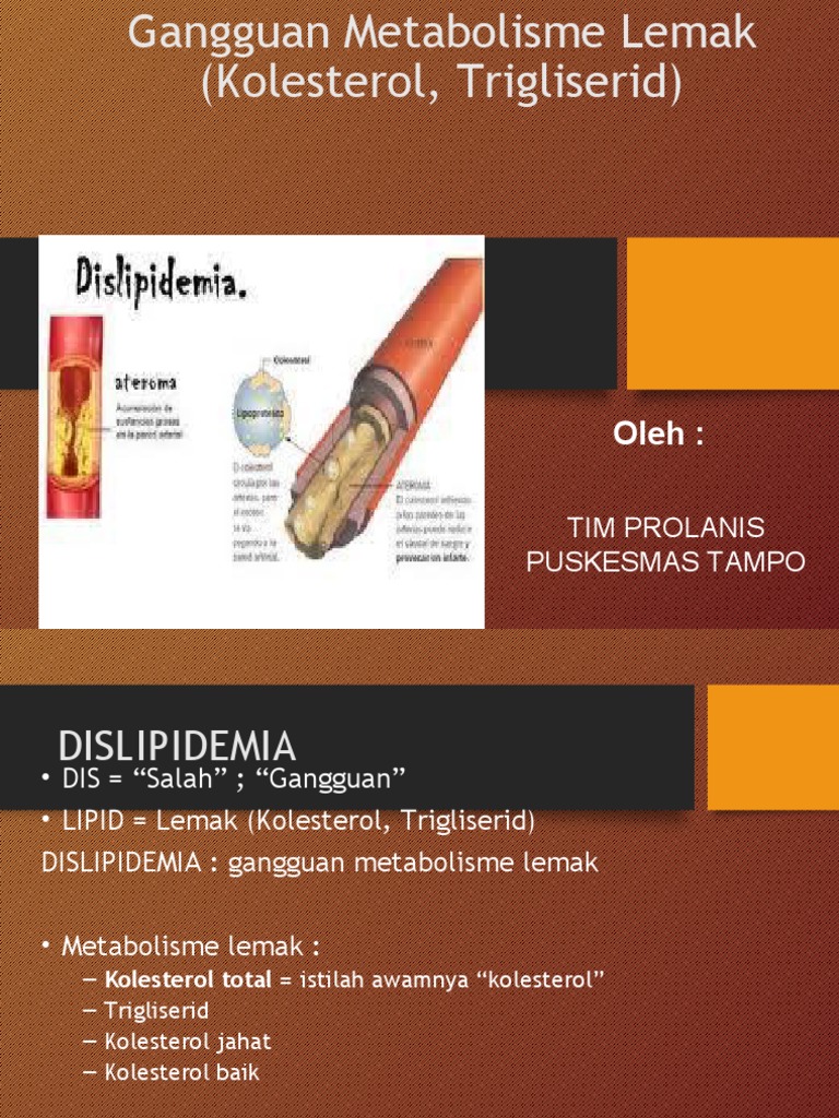 Dislipidemia | PDF