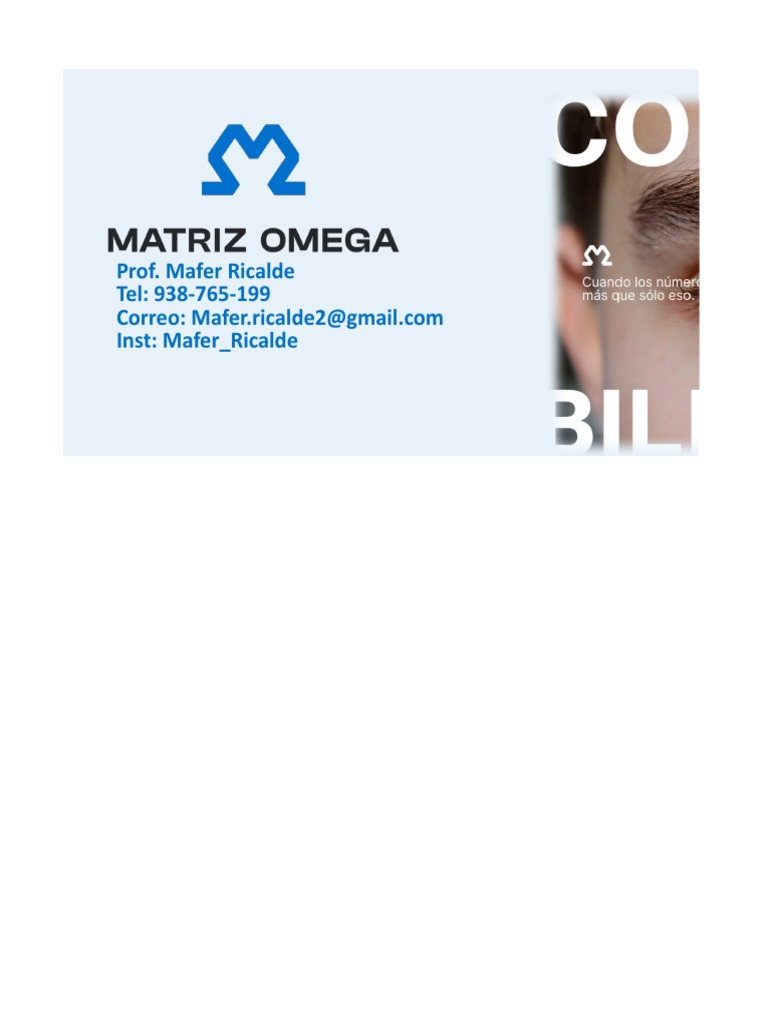 Informe Financiero de Omega S.A. | PDF | Negocios económicos | Sector ...