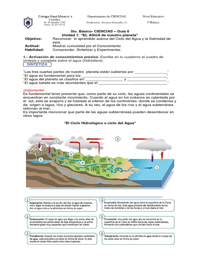 Guía del Ciclo del Agua 5° Básico | PDF | El ciclo del agua | Agua