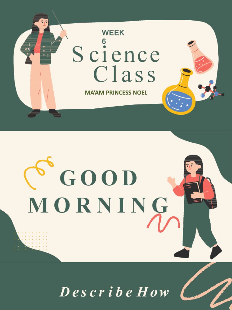 Science 4 Light Pdf Light Reflection Physics