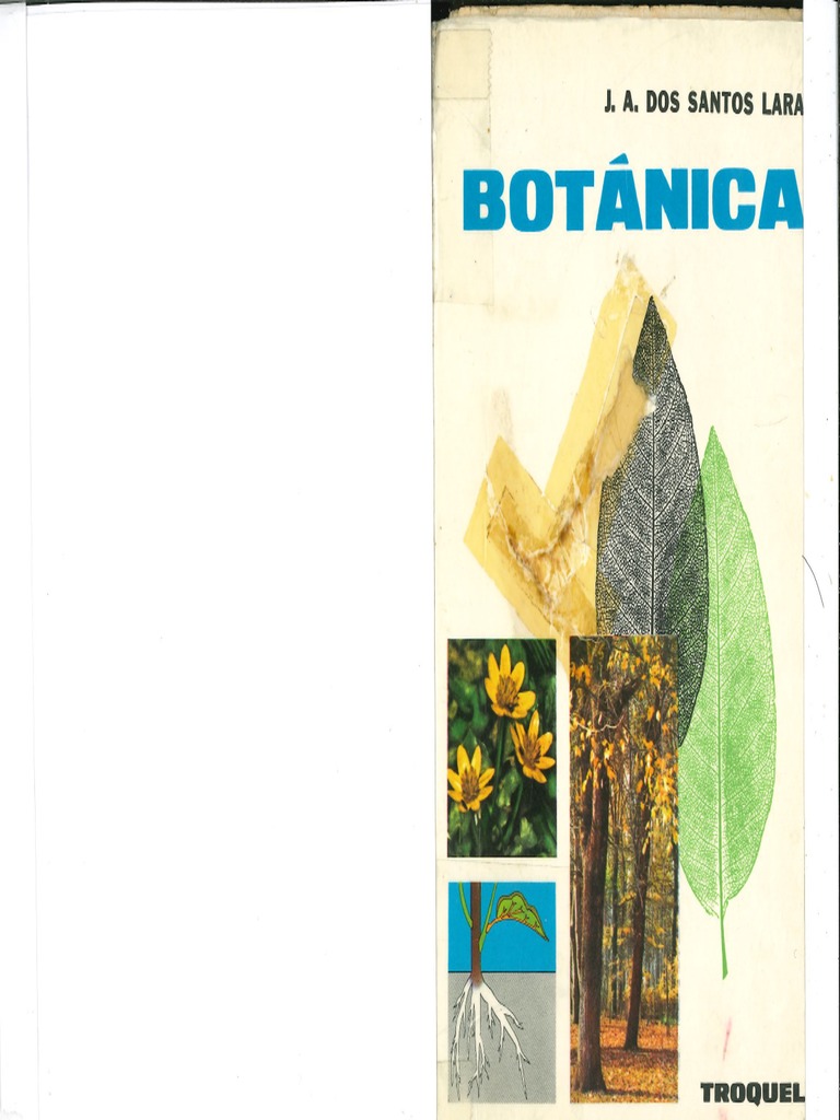Botanica PDF | PDF