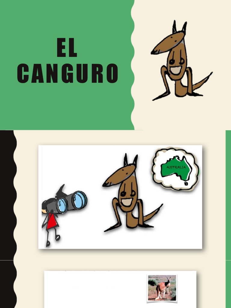 El Canguro Exposicion Rebeca | PDF