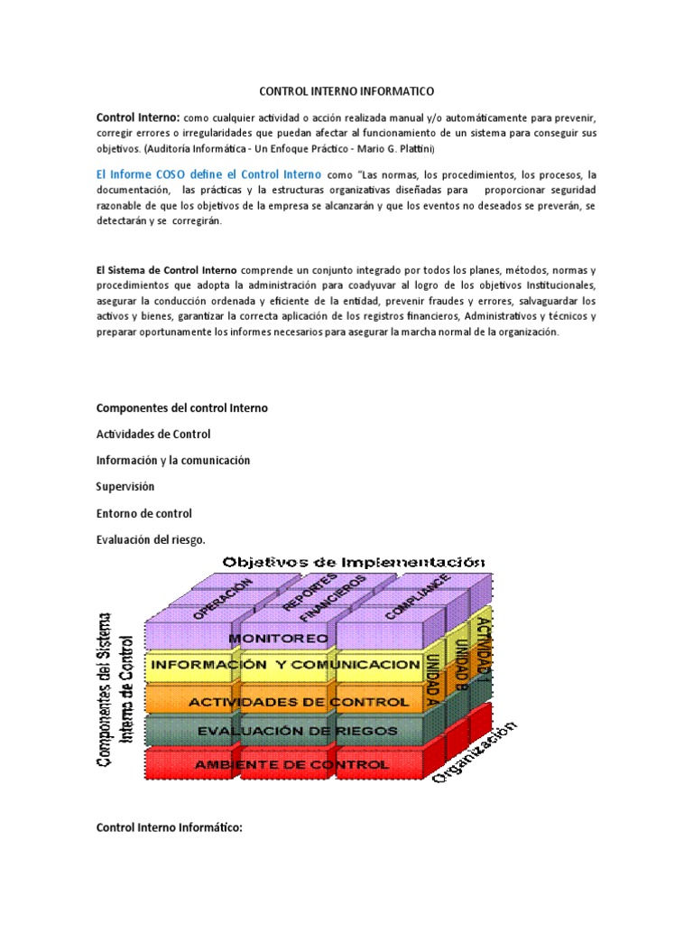 Elementos Del Control Interno Informatico | PDF | Negocios