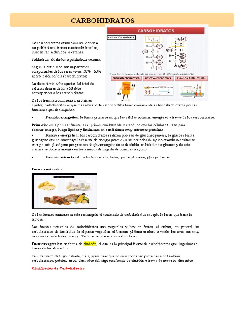 CARBOHIDRATOS | PDF | Carbohidratos | Glucosa