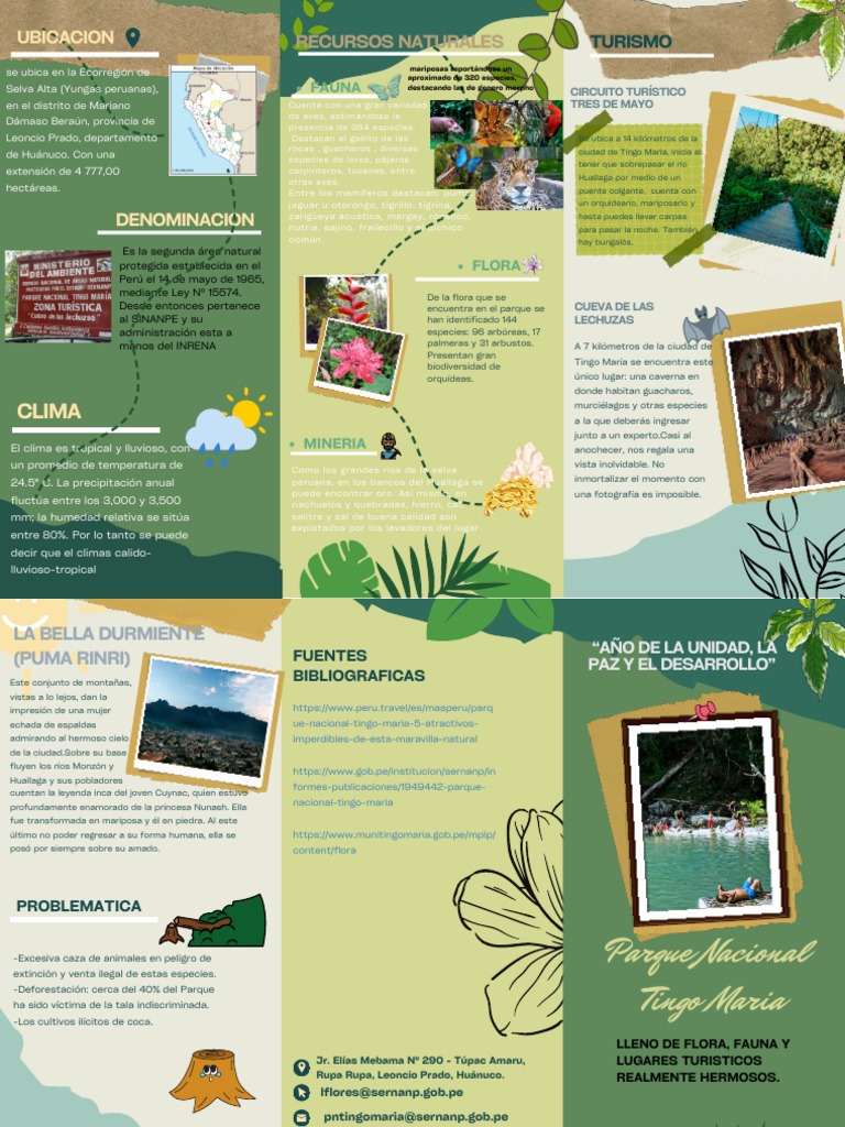 Tríptico Parque Nacional de Tingo Maria | PDF | Entorno natural