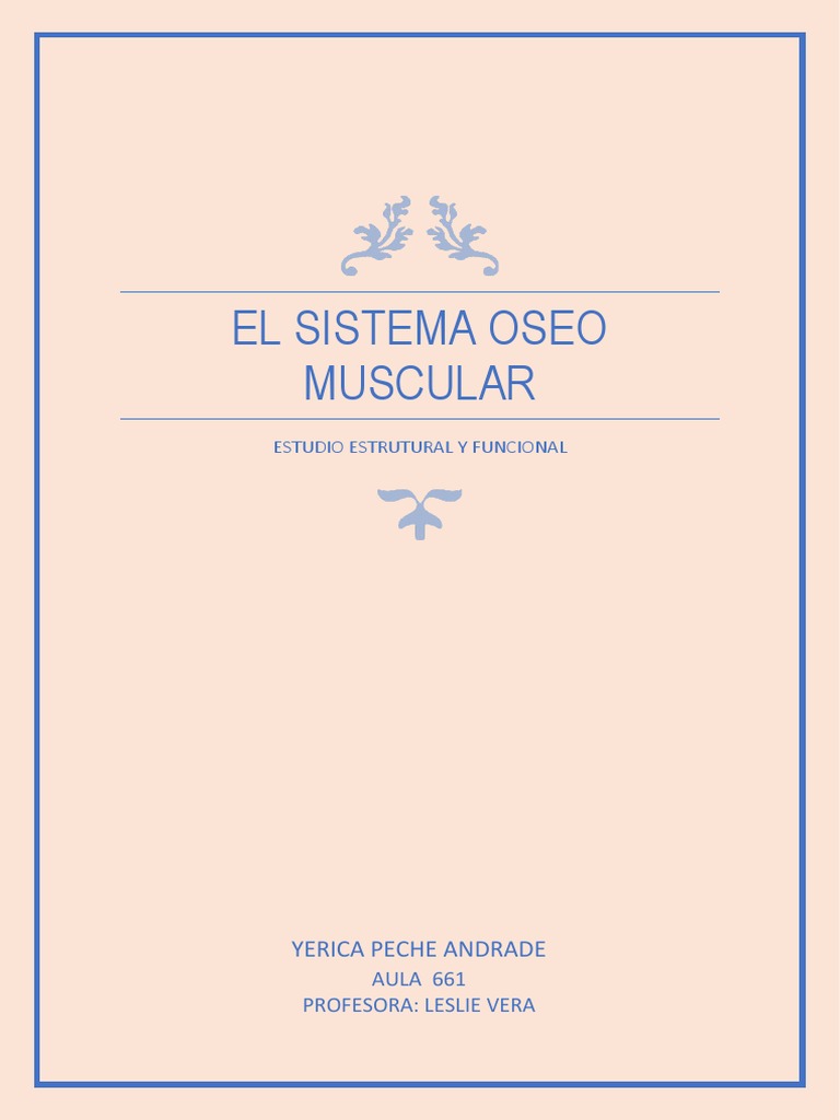El Sistema Oseo Muscular | PDF