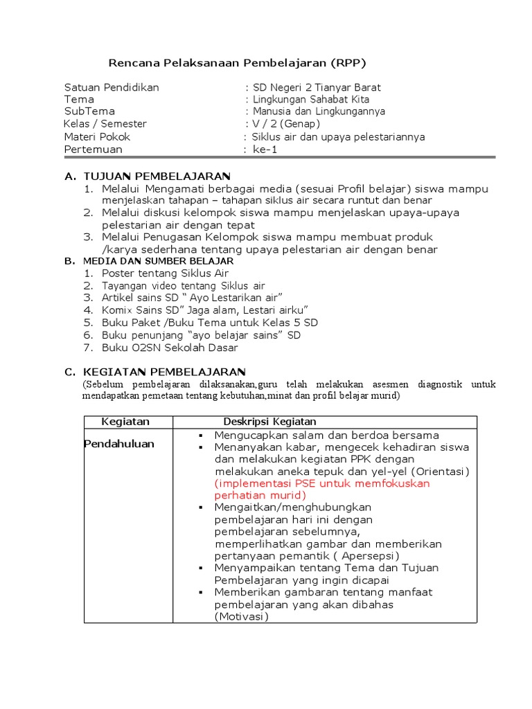 Bu Yun - RPP Berdiferensiasi | PDF