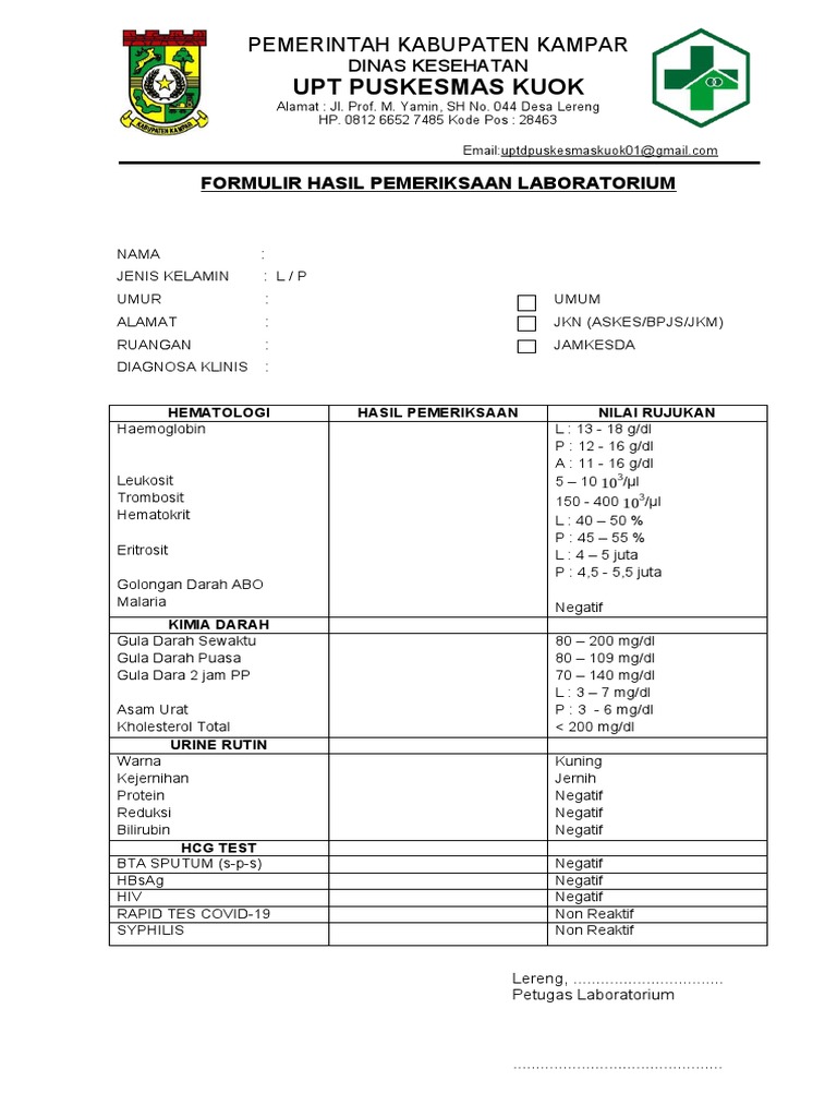 Formulir Hasil Pemeriksaan Laboratorium Verawati | PDF