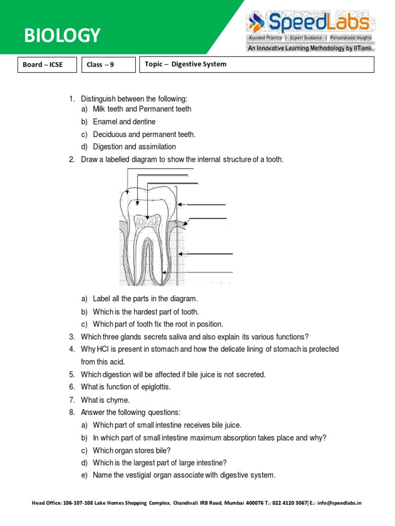 Class 9 ICSE Digestive System Q&A | PDF | Digestion | Tooth