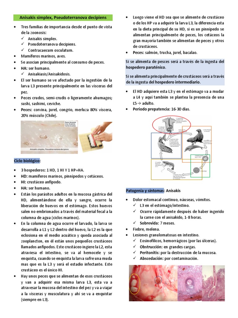 ENFERMEDADES PARASITARIAS | PDF | Especialidades Medicas | Medicina CLINICA