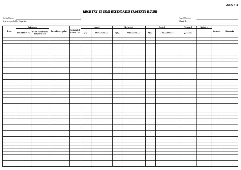 Registry of Semi-Expendable Property Issued (RegSPI) | PDF