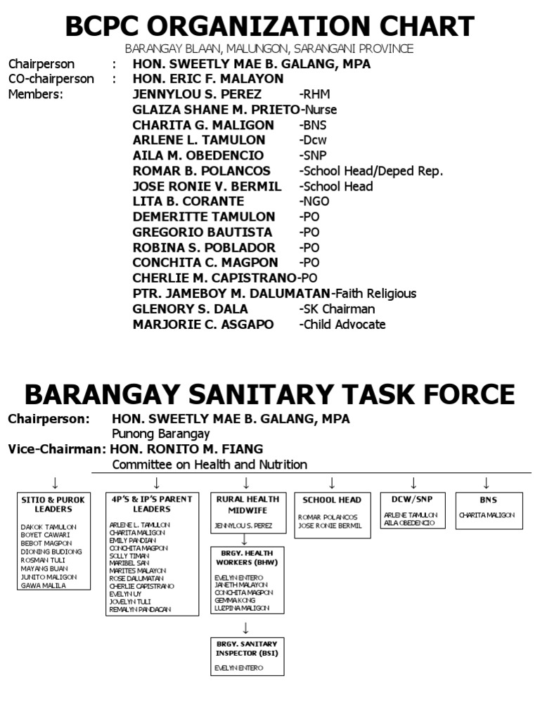 BCPC Organization Chart | PDF | Governance | Leadership