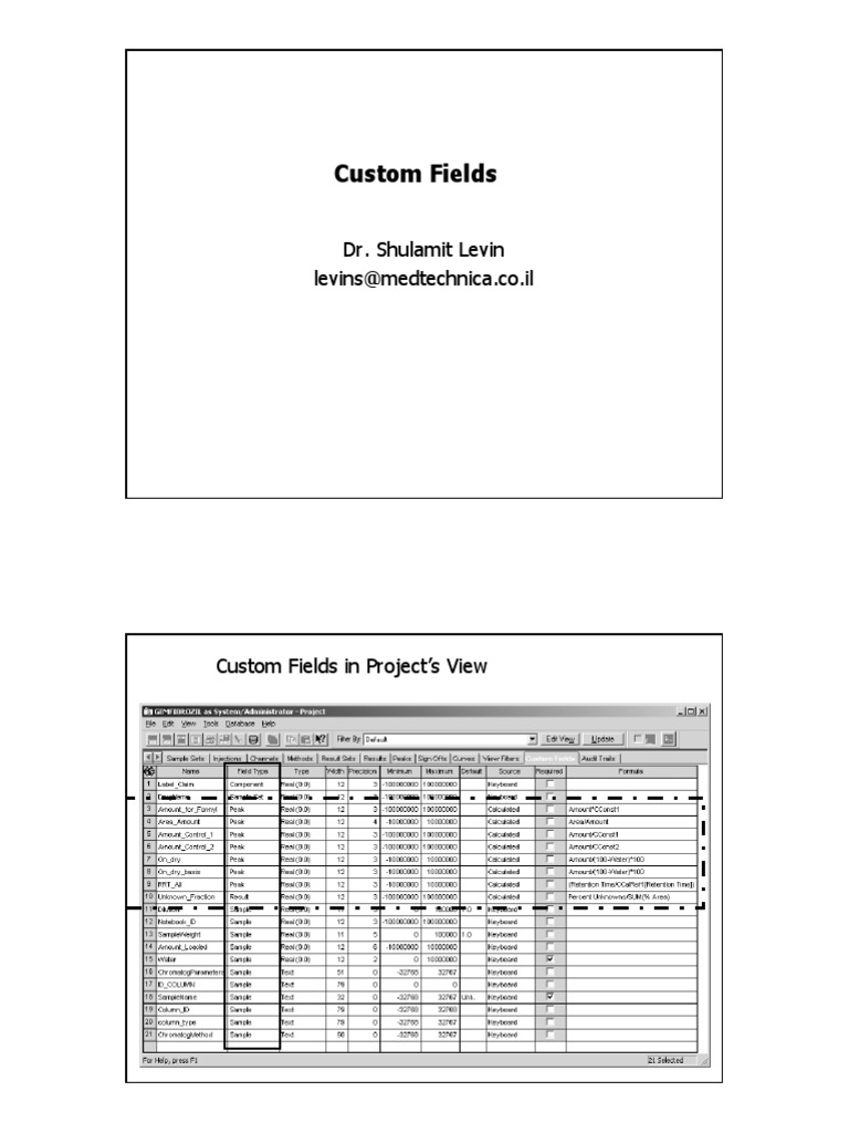 Custom Fields Pdf Boolean Data Type Computer Programming 3864