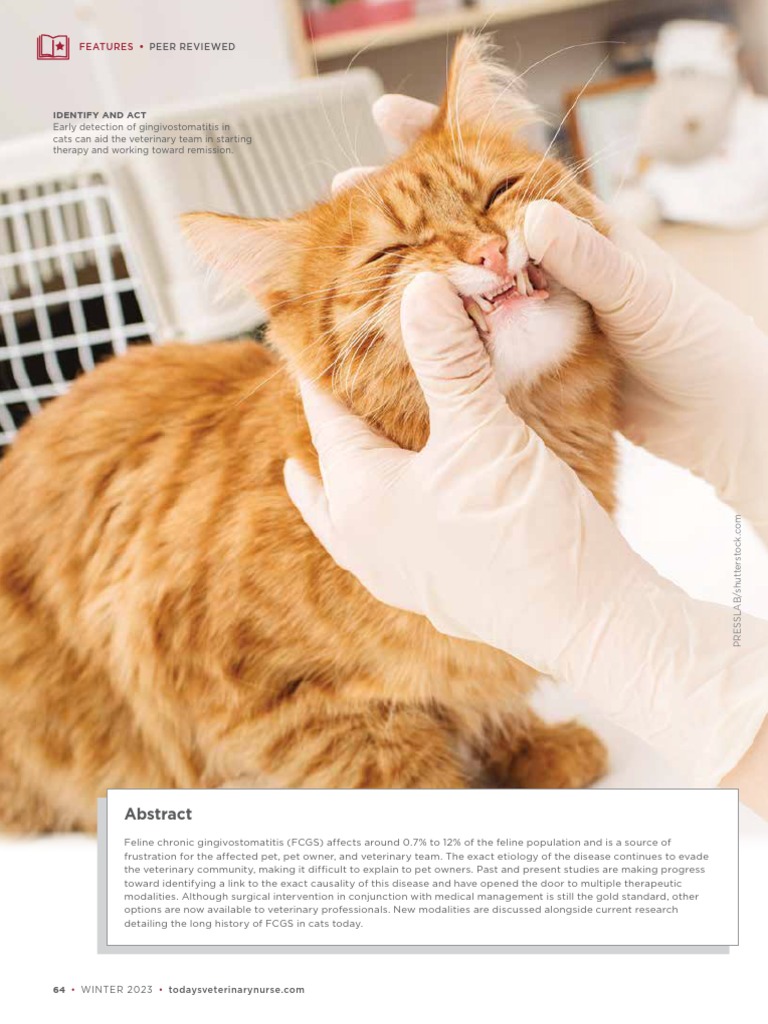 Feline Chronic Gingivostomatitis An Update 1671815182 | PDF | Infection ...