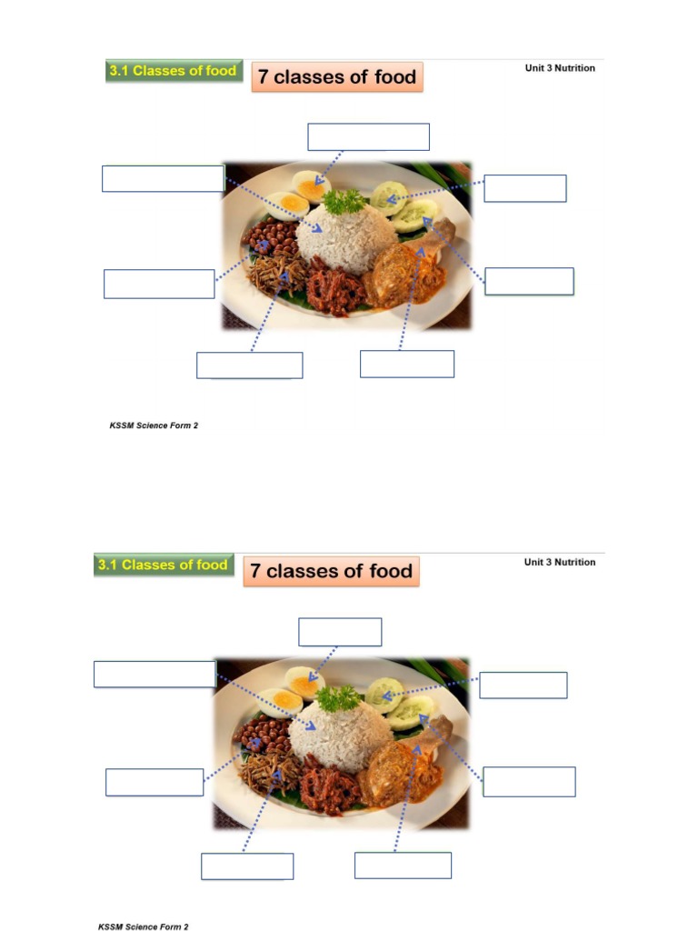 Class of Food PDF | PDF