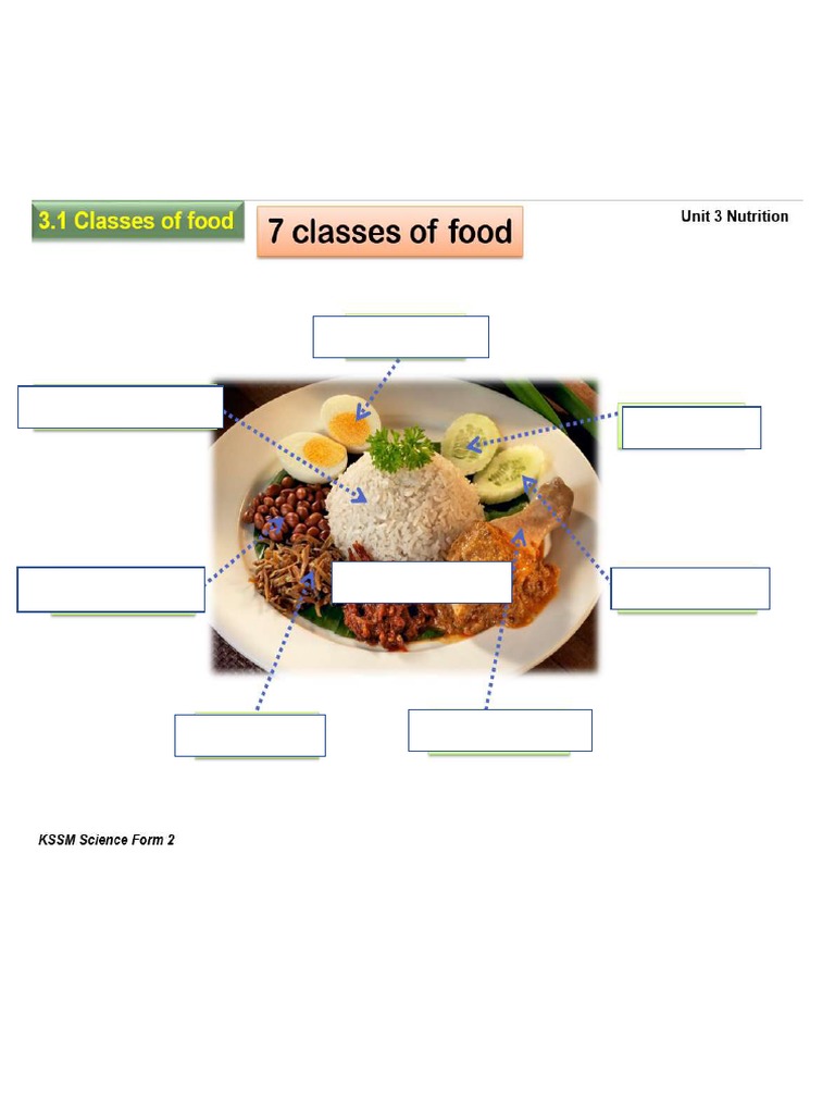 In Your Group Make 1 Mind Map That Include All The Class of Food Together With Their Informatio1 ...