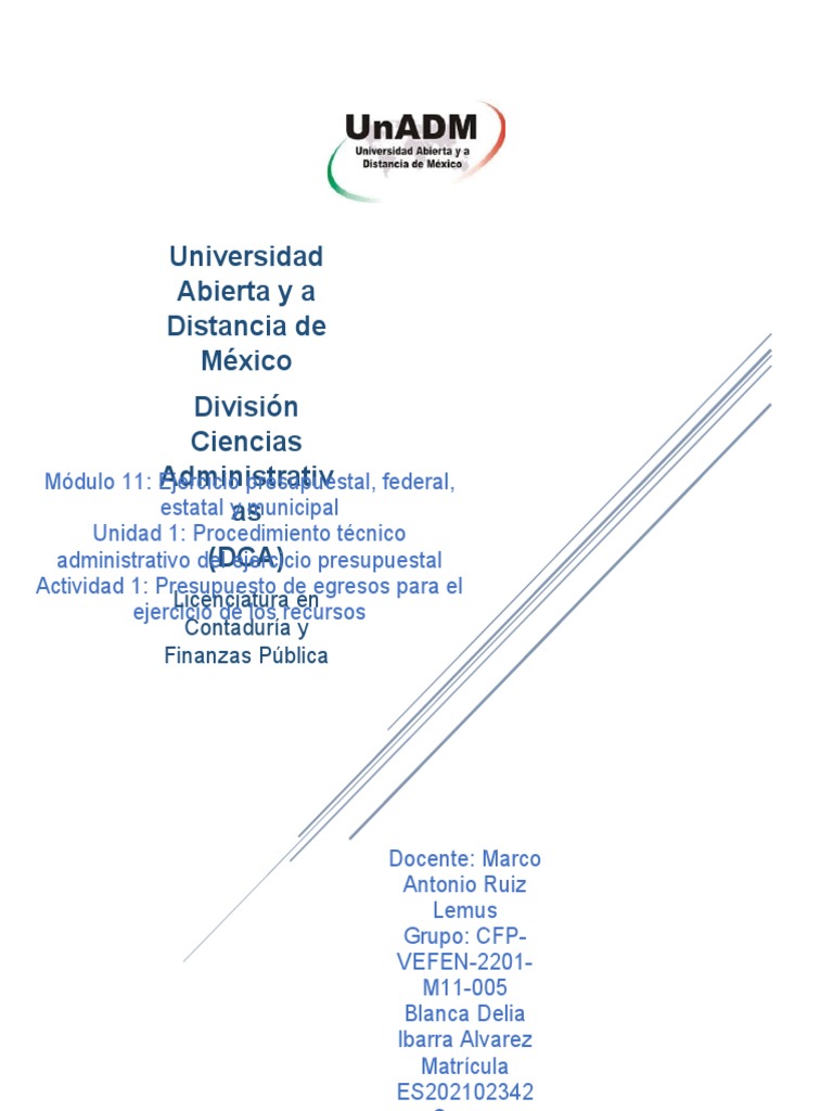 M11 U1 A1 BDIA Mapa | PDF | Presupuesto