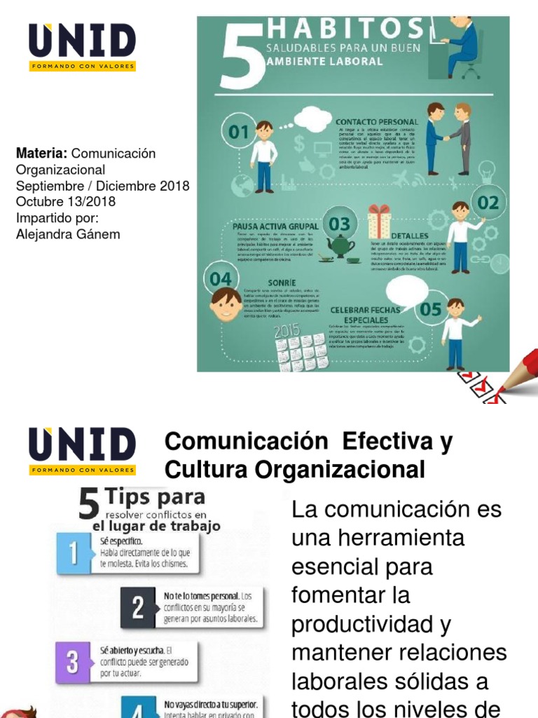 ComunicaciÃ N Efectiva y Cultura Organizacional | PDF