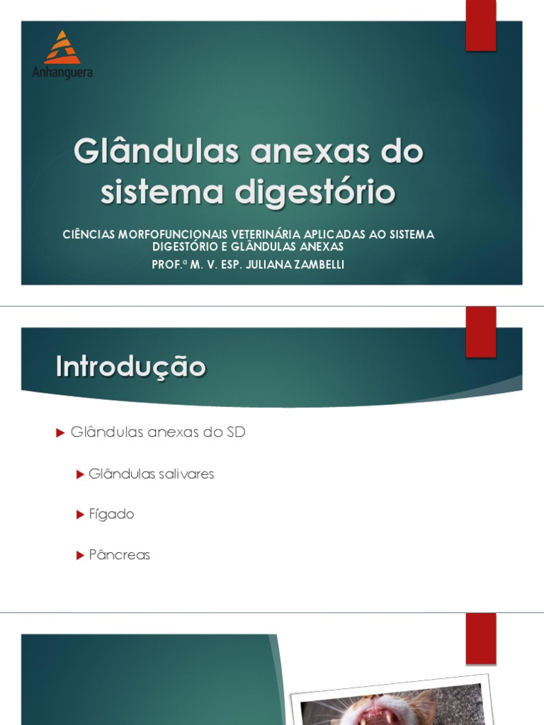 Aula+4+-+Histologia+das+Gl%C3%A2ndulas+Anexas+do+Sistema+Digest%C3 ...