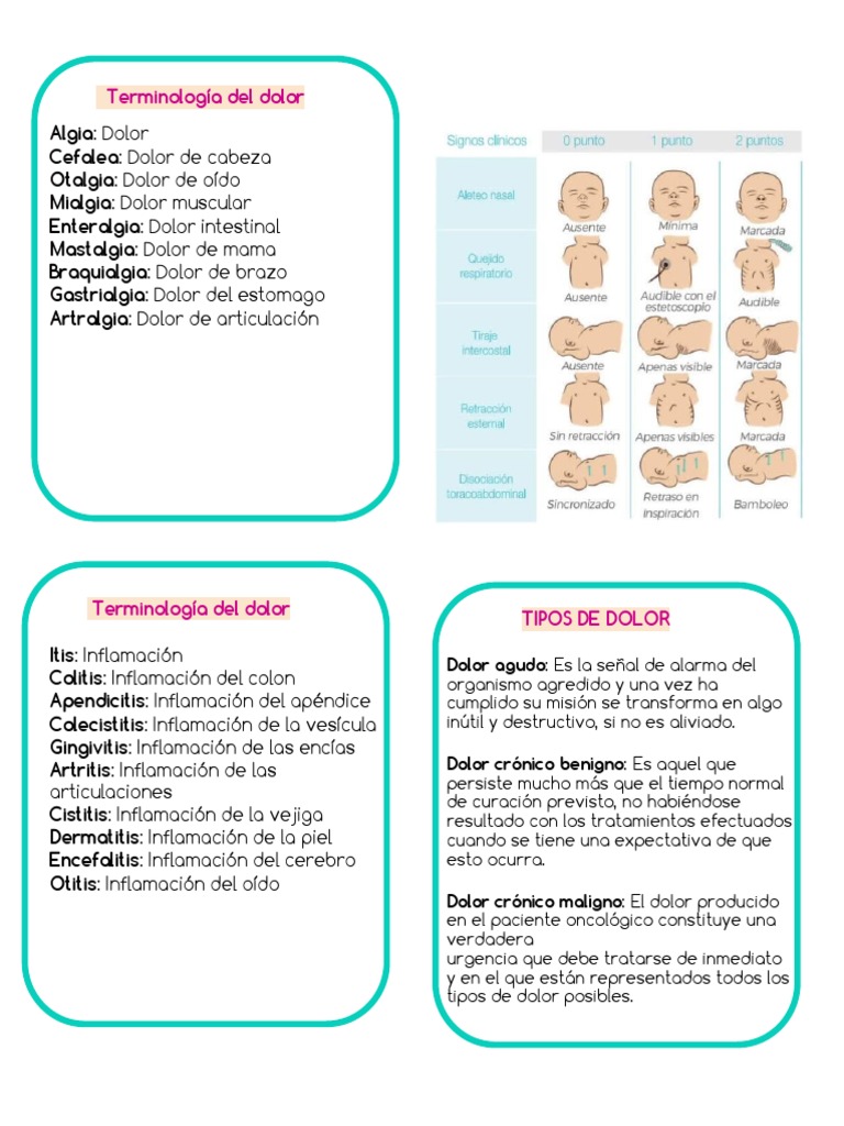 Terminología Del Dolor | Descargar gratis PDF | Dolor | Inflamación