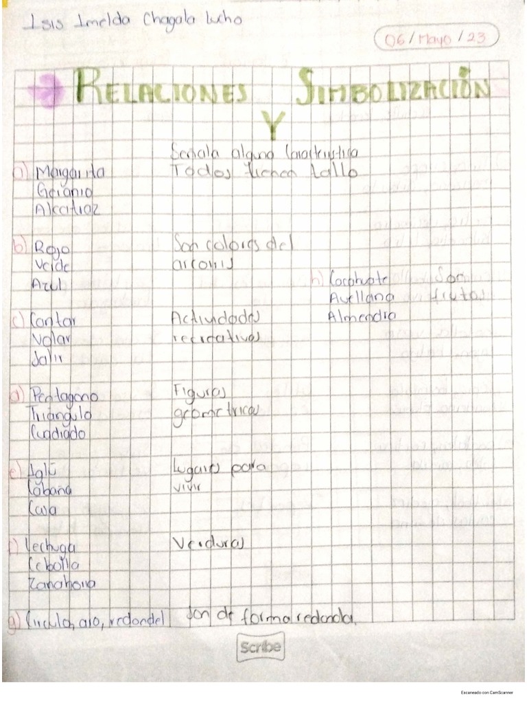 Relaciones y Simbolización | PDF