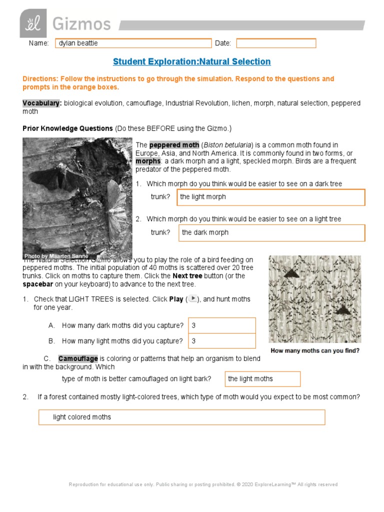 2.3 Gizmo_ NaturalSelection (1) | PDF | Biological Evolution | Biology